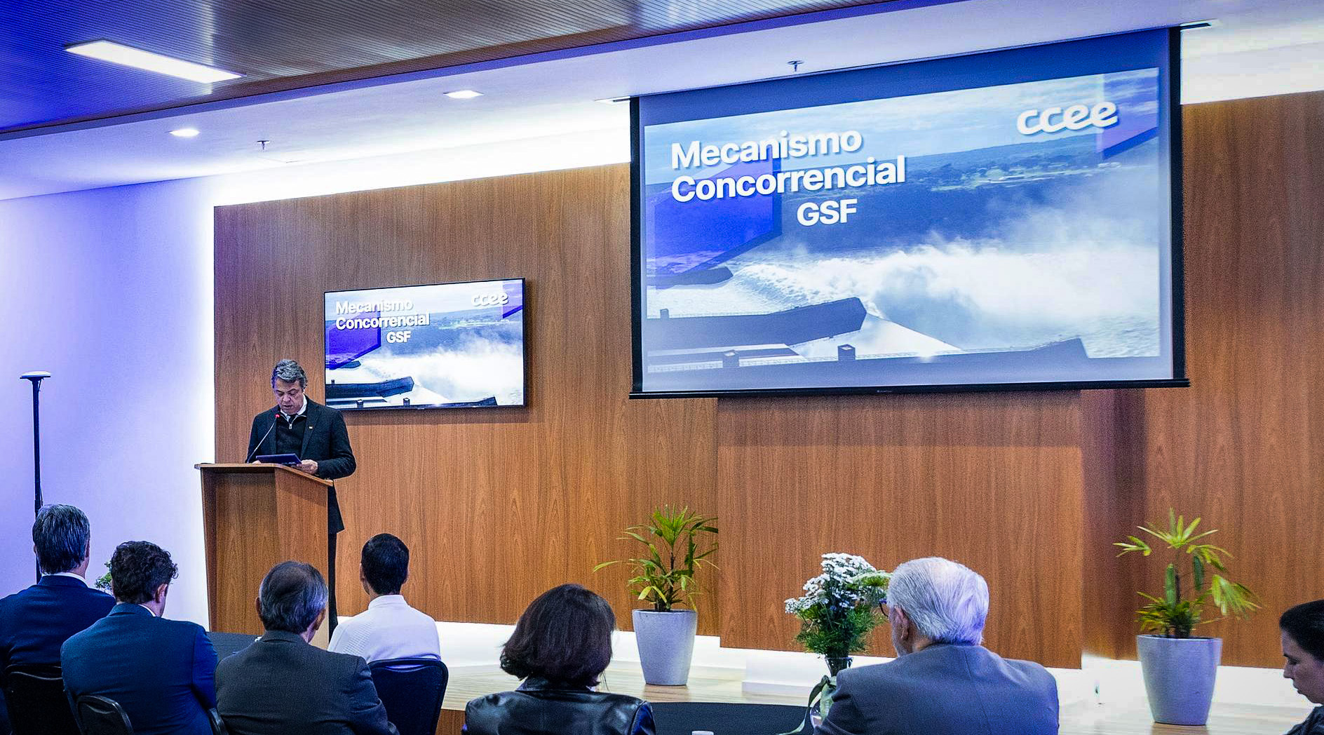 Leilão de débitos do GSF vai reduzir custo da CCEE em R$540 mi